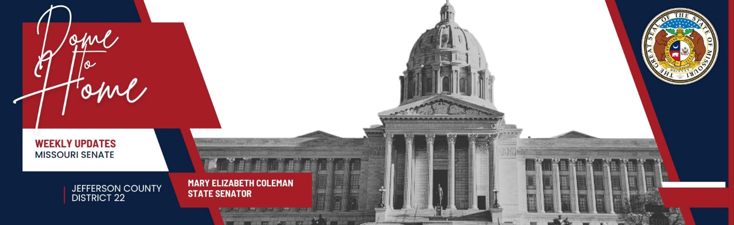 Senator Mary Elizabeth Coleman's Capitol Report for January 14, 2026